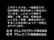 Amuse Soft Entertainment (Japan) Warning Screens | Company Bumpers Wiki ...