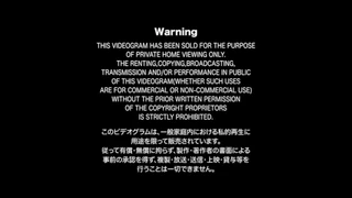 Amuse Soft Entertainment (Japan) Warning Screens | Company Bumpers Wiki ...