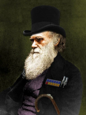 Zee Wolf The Younger | Star Wars Combine | Fandom