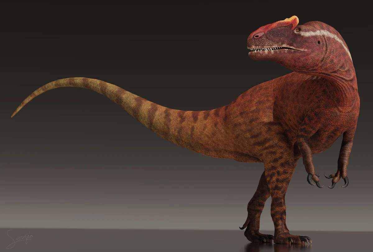 Saurophaganax maximus | Wiki Compendió de Vida Silvestre | Fandom