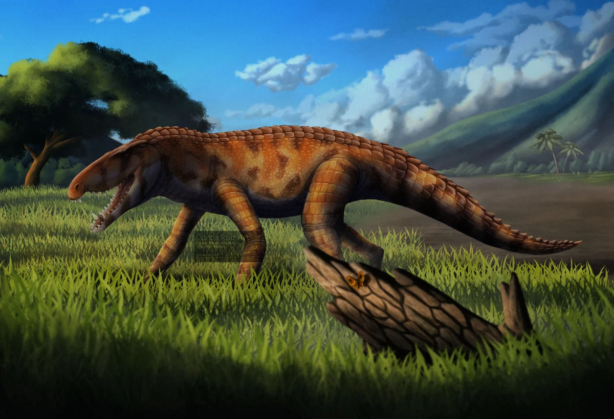 Barinasuchus arveloi | Wiki Compendió de Vida Silvestre | Fandom