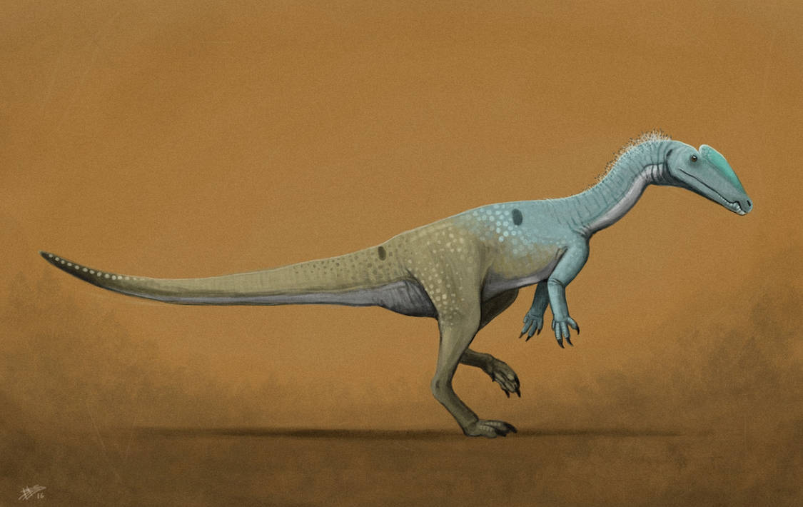 Megapnosaurus Rhodesiensis Wiki Compendió De Vida Silvestre Fandom