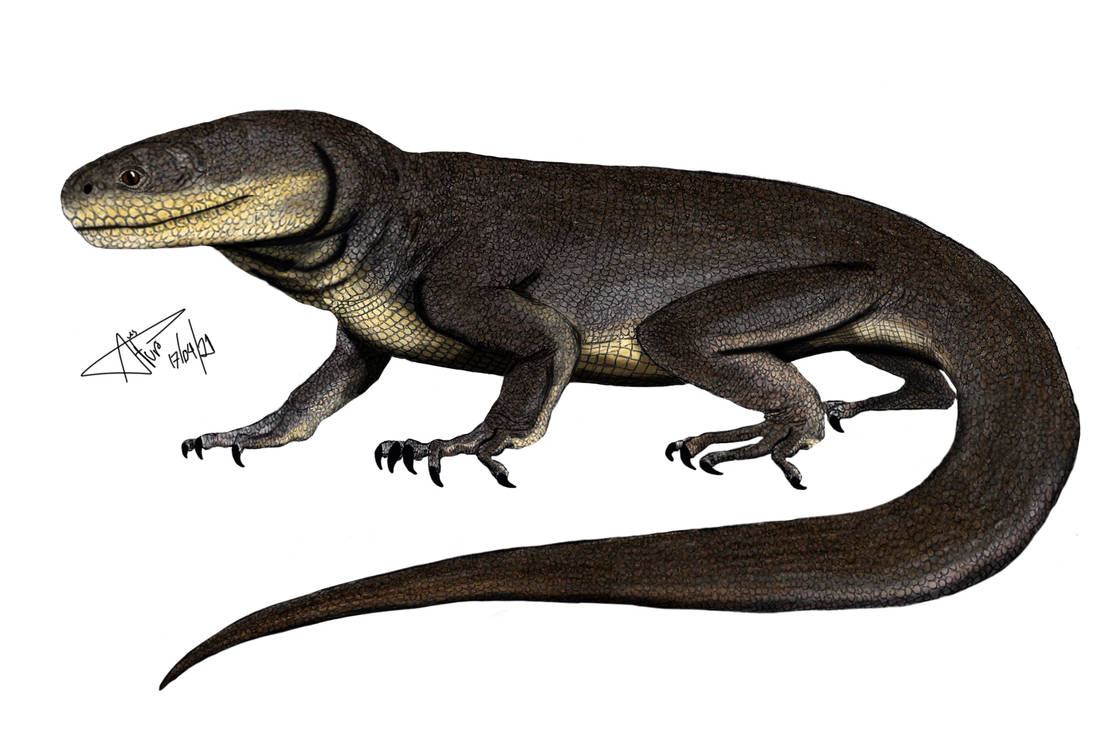 Tamaulipasaurus Morenoi Wiki Compendió De Vida Silvestre Fandom