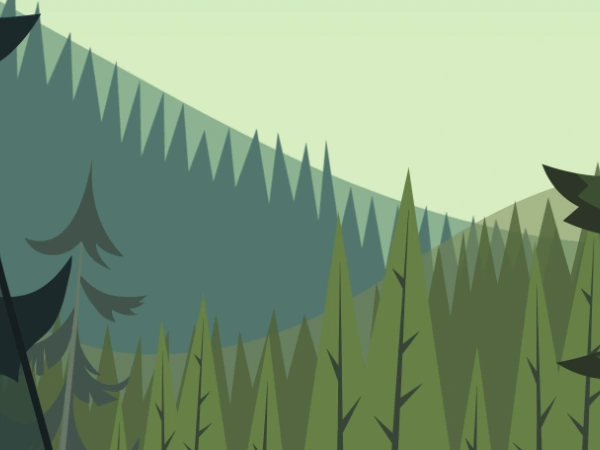 Competition Camp Wiki | Fandom