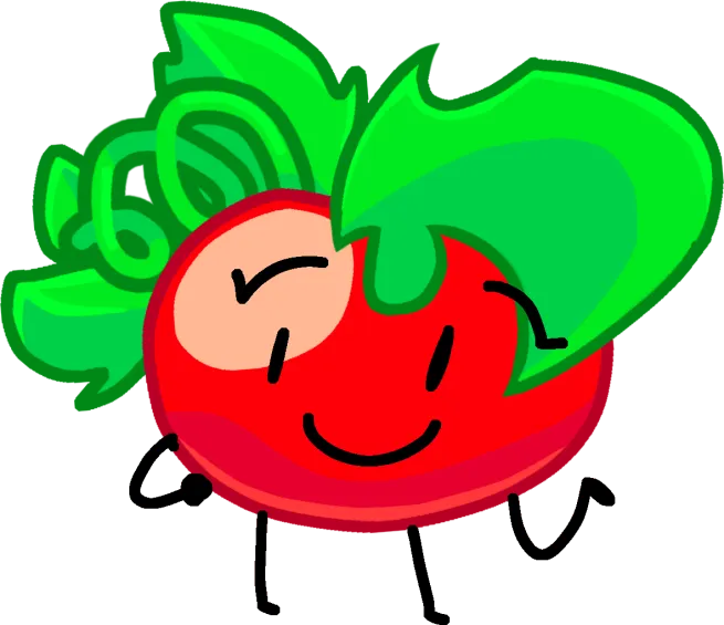 Tomaty/Gallery | Competitive College Wiki | Fandom