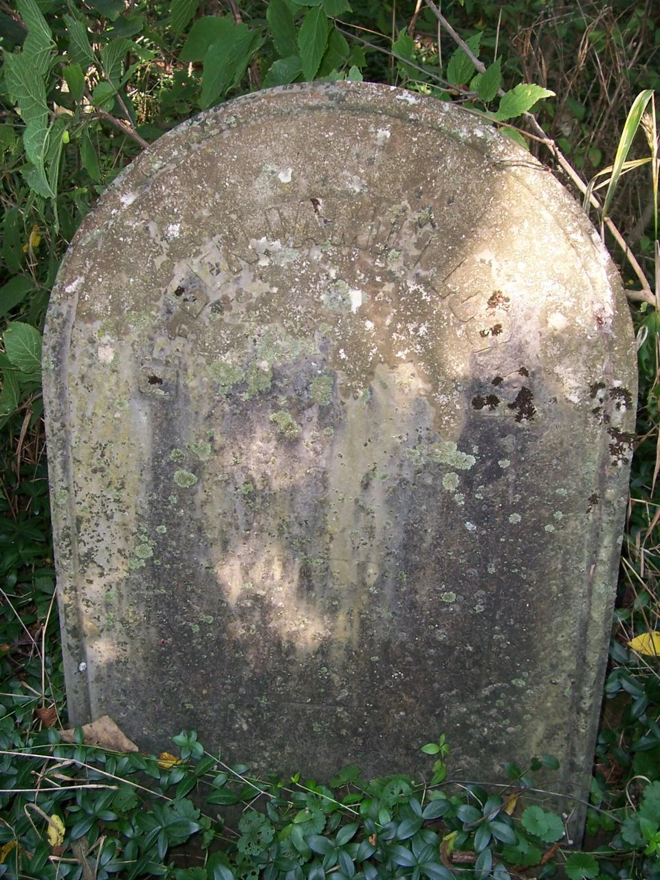 Benjamin Logan, Jr. | Completely Kentucky Wiki | Fandom