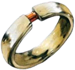 Ring of Evasion | Complex CF Wiki | Fandom