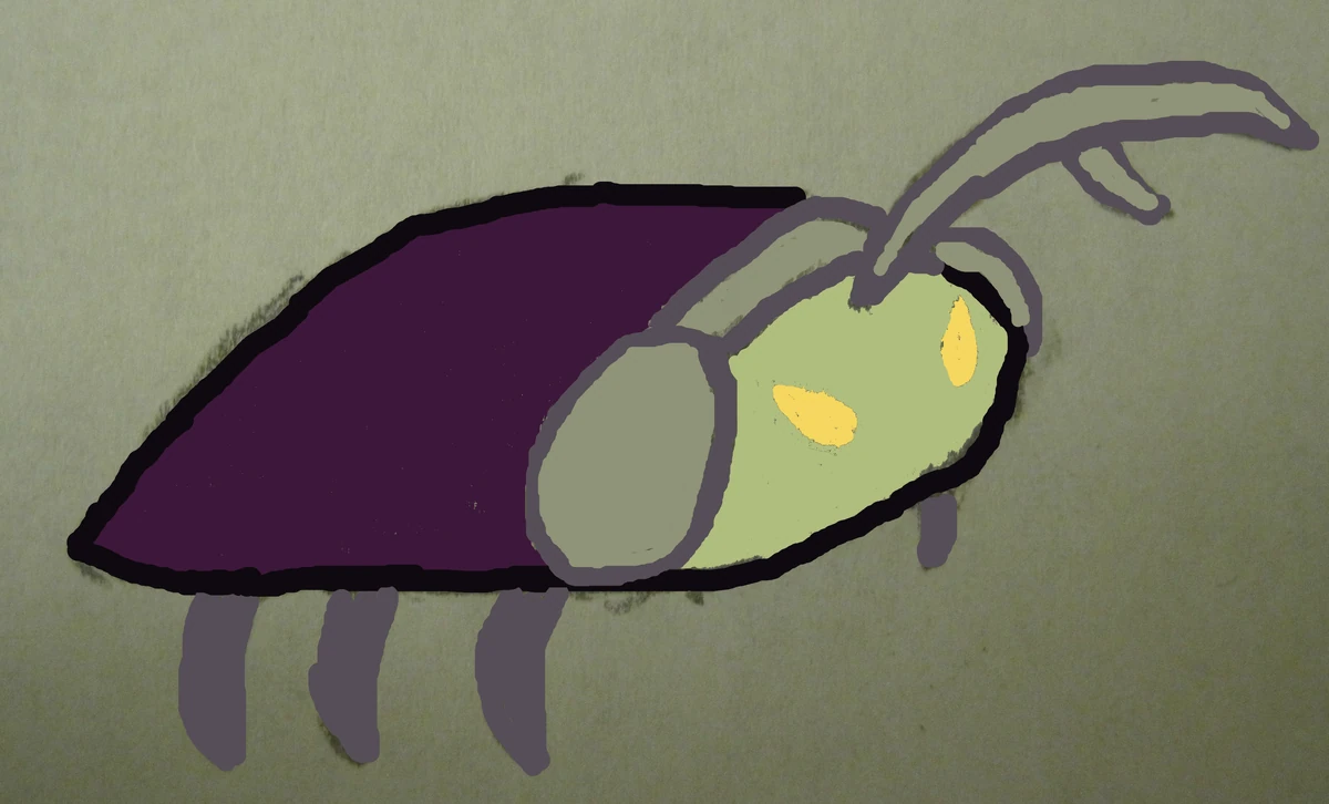 Beatle Complipedia Fandom