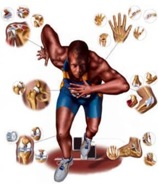 La canilla | Wiki COMPONENTES DEL CUERPO HUMANO | Fandom