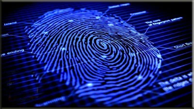 Details and Examples | Computer Projects: Duff Wiki | Fandom