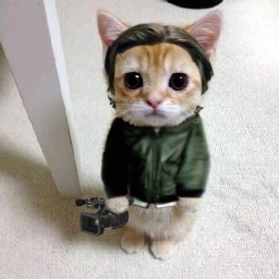 Gayda | Wiki Comunidad en Chaquetencia | Fandom