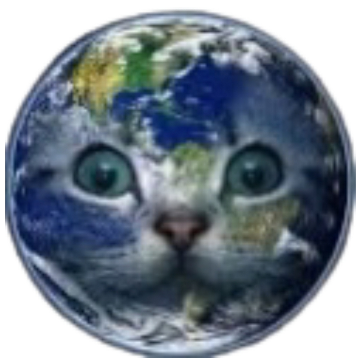 Cat World Comverse Wiki Fandom