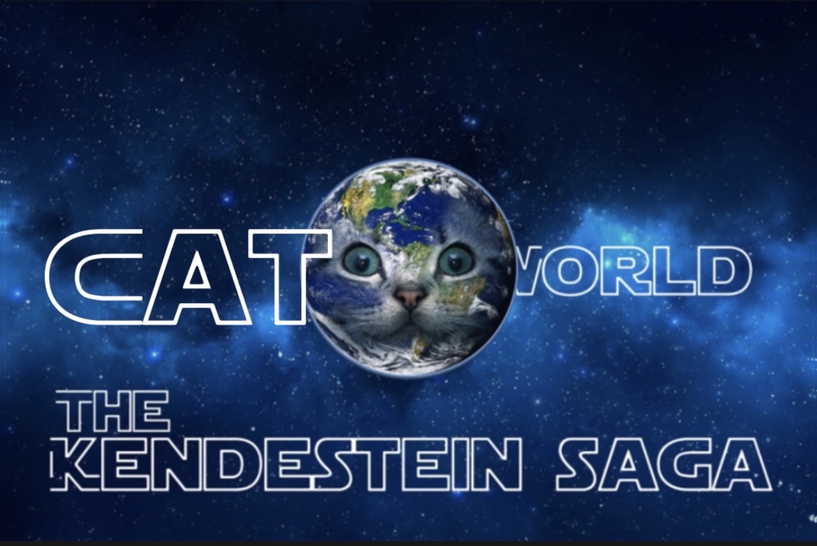 Cat Worlds One Year Anniversary Comverse Wiki Fandom