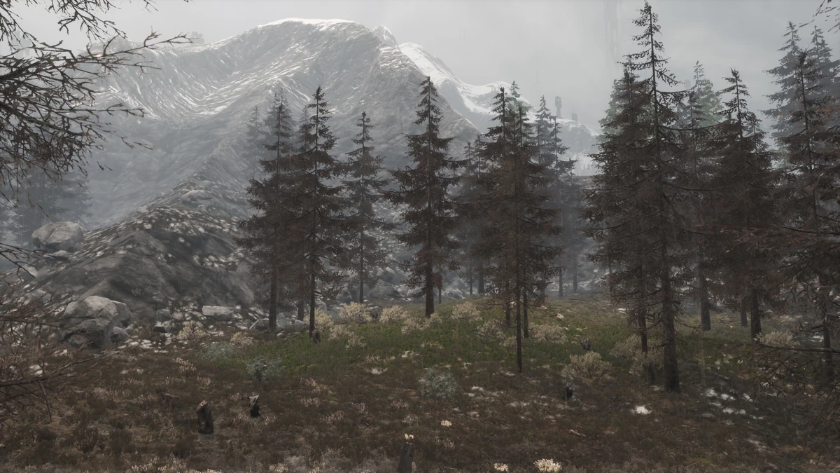 The Dirgewood - Official Conan Exiles Wiki
