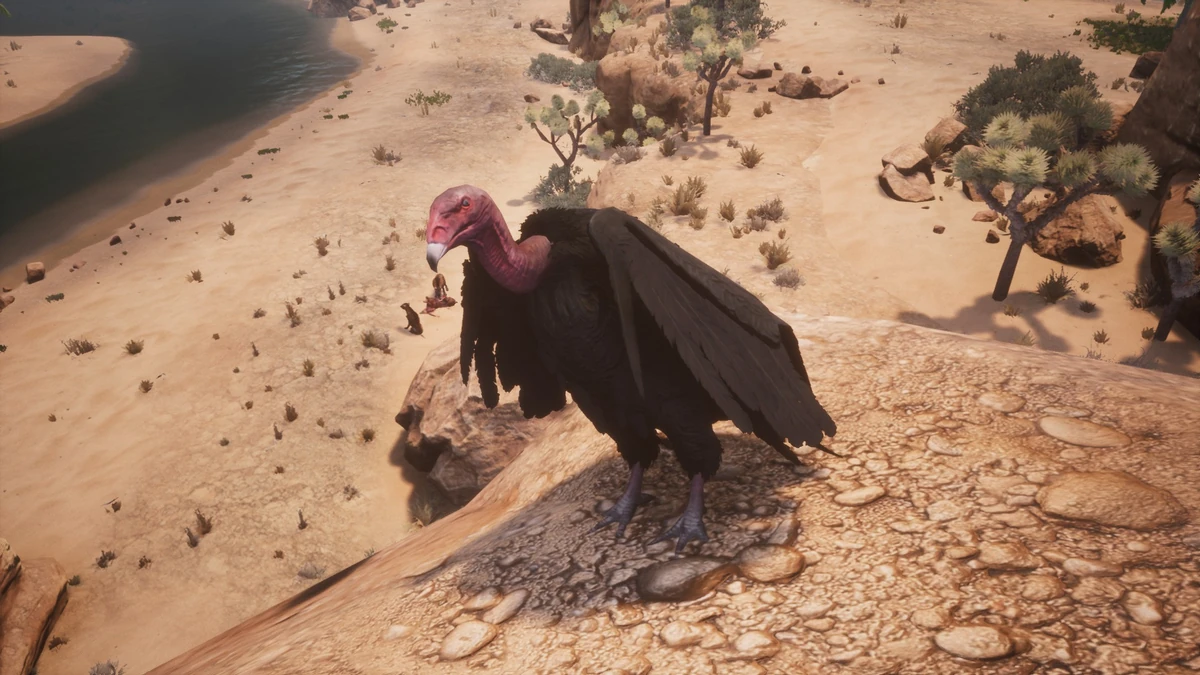 Vulture - Official Conan Exiles Wiki