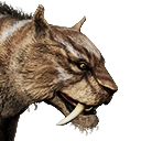 Pictish Sabretooth (Pet) - Official Conan Exiles Wiki