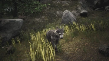 Wolf Puppy - Official Conan Exiles Wiki