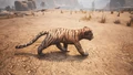 Tiger Cub - Official Conan Exiles Wiki