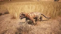 Tiger Cub - Official Conan Exiles Wiki