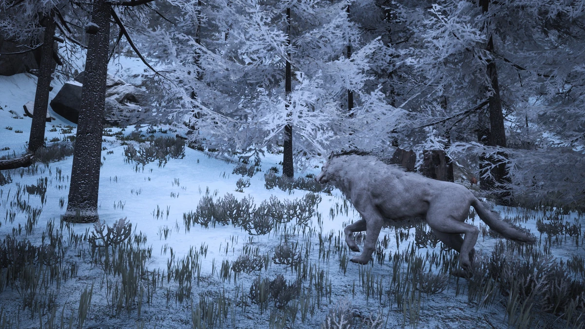 Dire Wolf - Official Conan Exiles Wiki