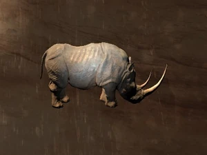 Rhinoceros (Pet) - Official Conan Exiles Wiki
