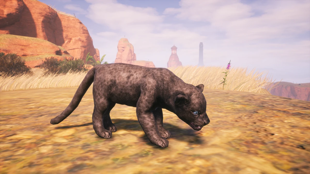 Panther Cub - Official Conan Exiles Wiki