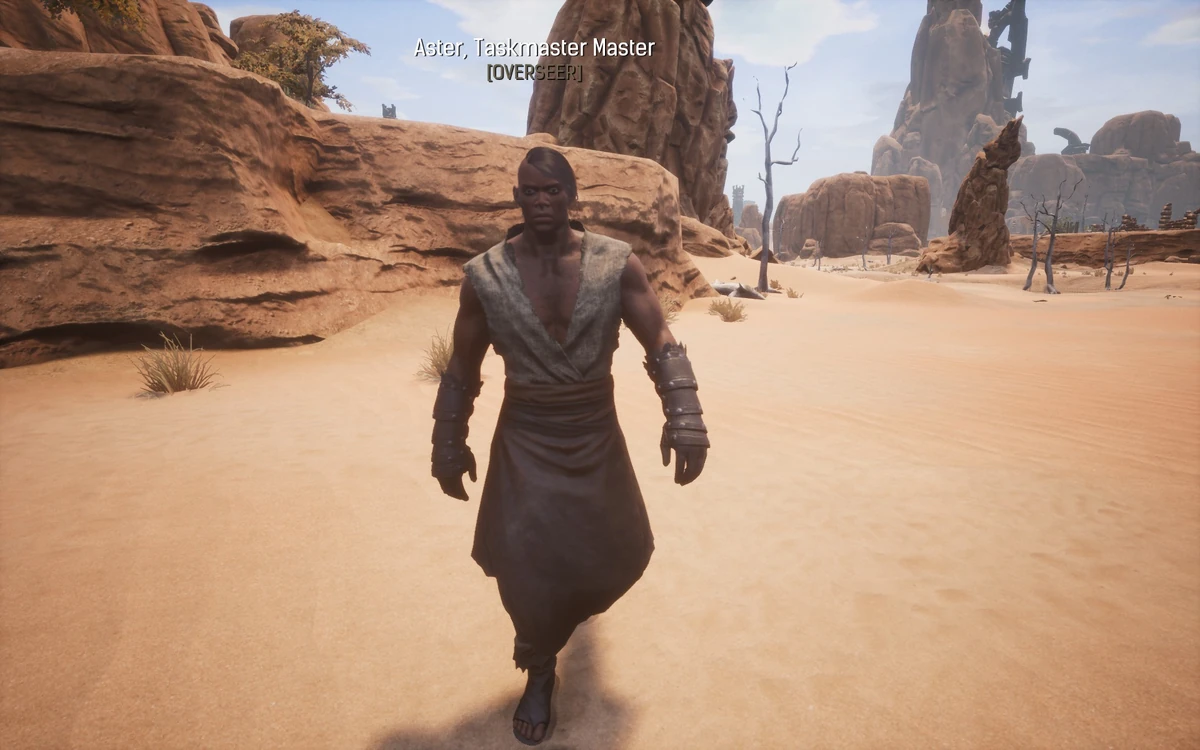 Aster, Taskmaster Master - Official Conan Exiles Wiki