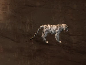 White Tiger (Pet) - Official Conan Exiles Wiki