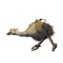 Ostrich Carcass - Official Conan Exiles Wiki