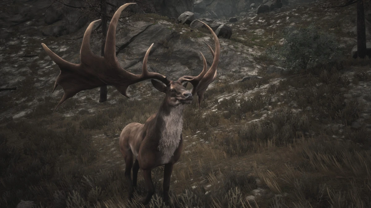 Elk King - Official Conan Exiles Wiki