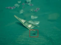 Language Dictionary (Zingaran) - Official Conan Exiles Wiki