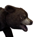 Bear Cub (Pet) - Official Conan Exiles Wiki