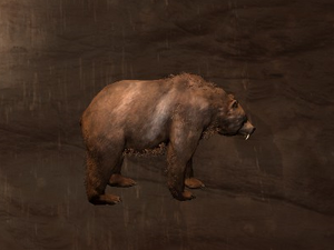 Bear (Variant A) - Official Conan Exiles Wiki