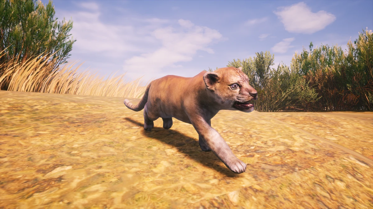 Lion Cub - Official Conan Exiles Wiki