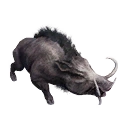 Taxidermied Boar - Official Conan Exiles Wiki