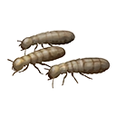 Handful of Insects - Official Conan Exiles Wiki