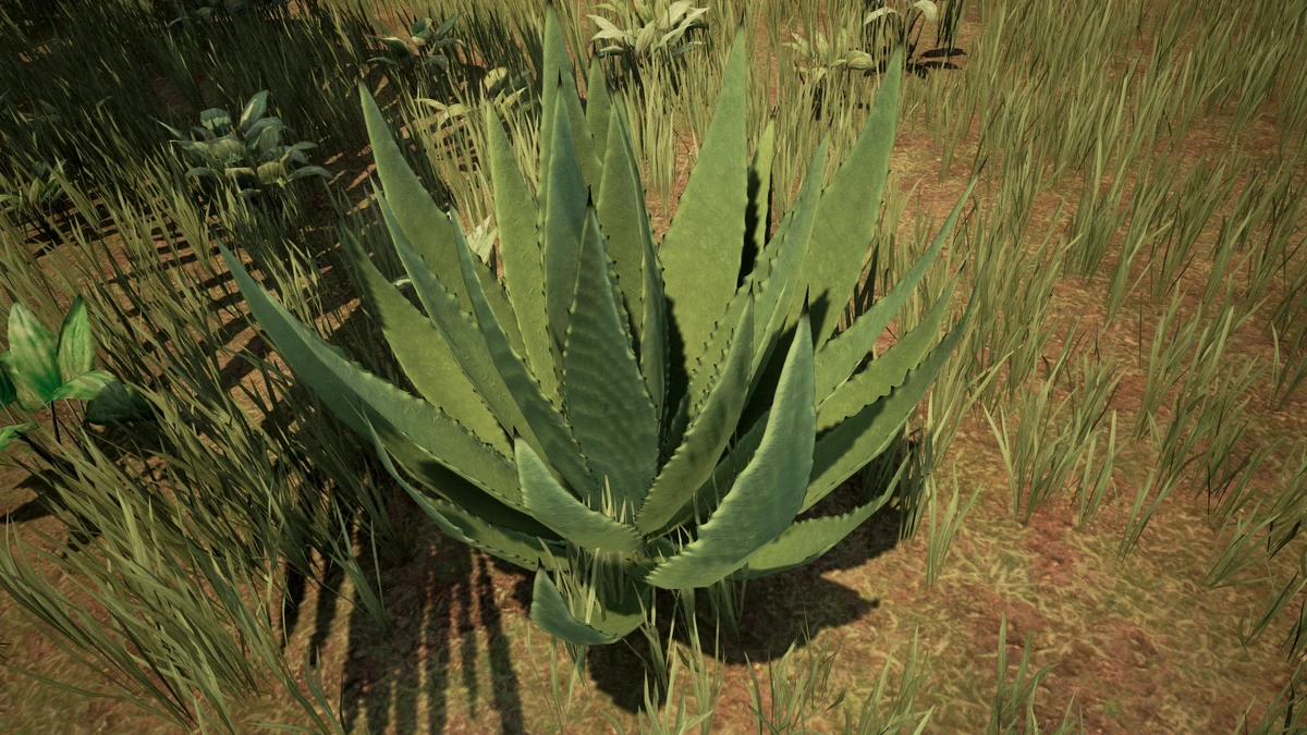 Aloe Leaves - Official Conan Exiles Wiki
