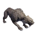 Taxidermied Sabretooth - Official Conan Exiles Wiki