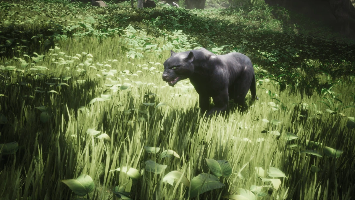 Panther - Official Conan Exiles Wiki