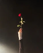 Superache/Gallery | Conan Gray Wiki | Fandom