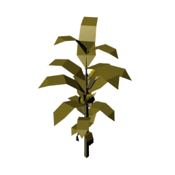 Corn | Conan's Farming Wiki | Fandom