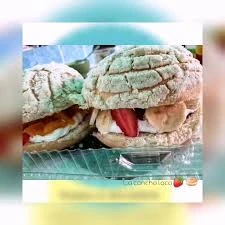 Concha Loca | Wiki Conchaverso | Fandom