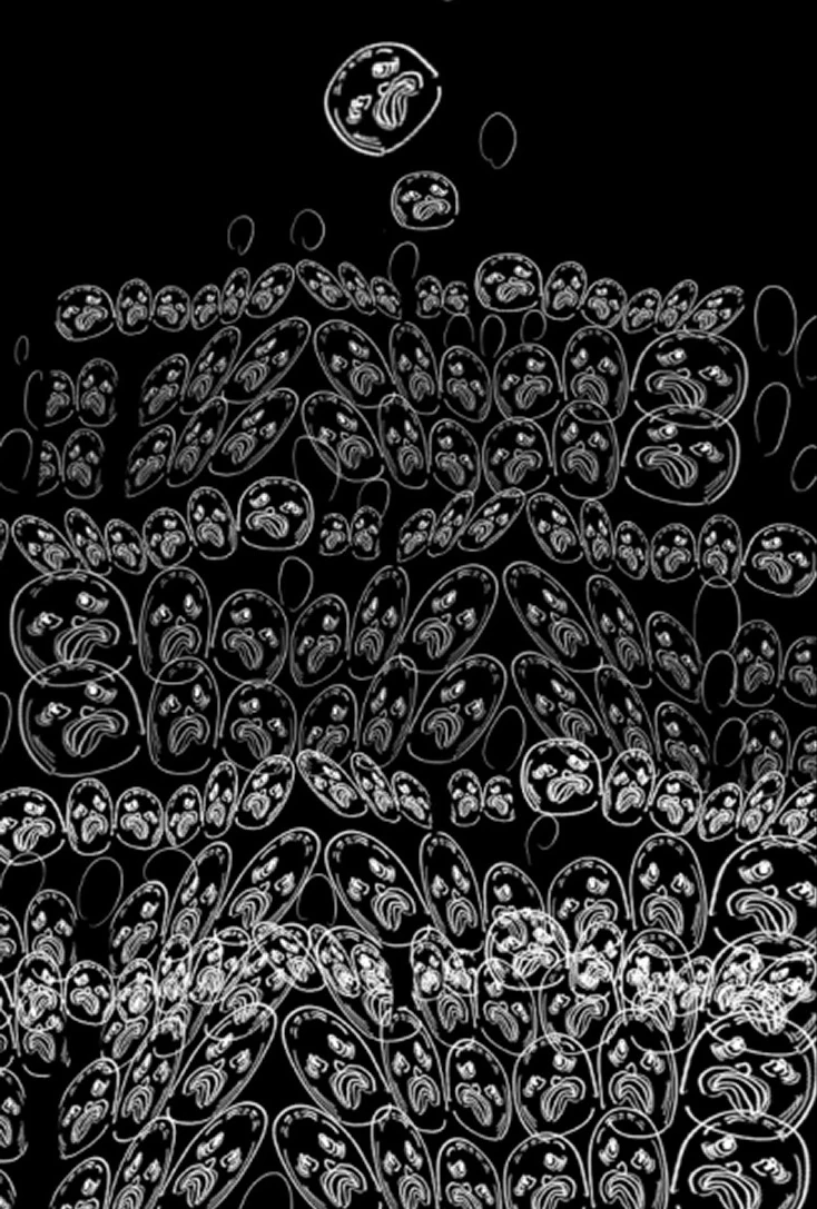 Bubble Faces | Concinnity() Wiki | Fandom