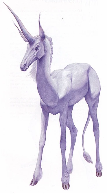 Unicorn | Concordances and Characters | Fandom