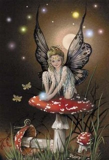 Fairy | Constructed Fantasy Worlds | Fandom