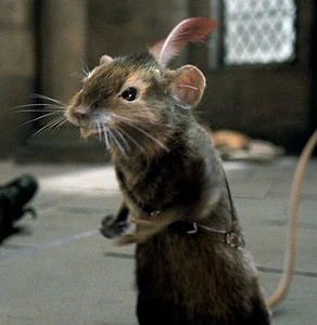 Mouse (FarSire) | Constructed Fantasy Worlds | Fandom