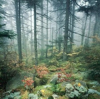Northern Wilderlands | Constructed Fantasy Worlds | Fandom