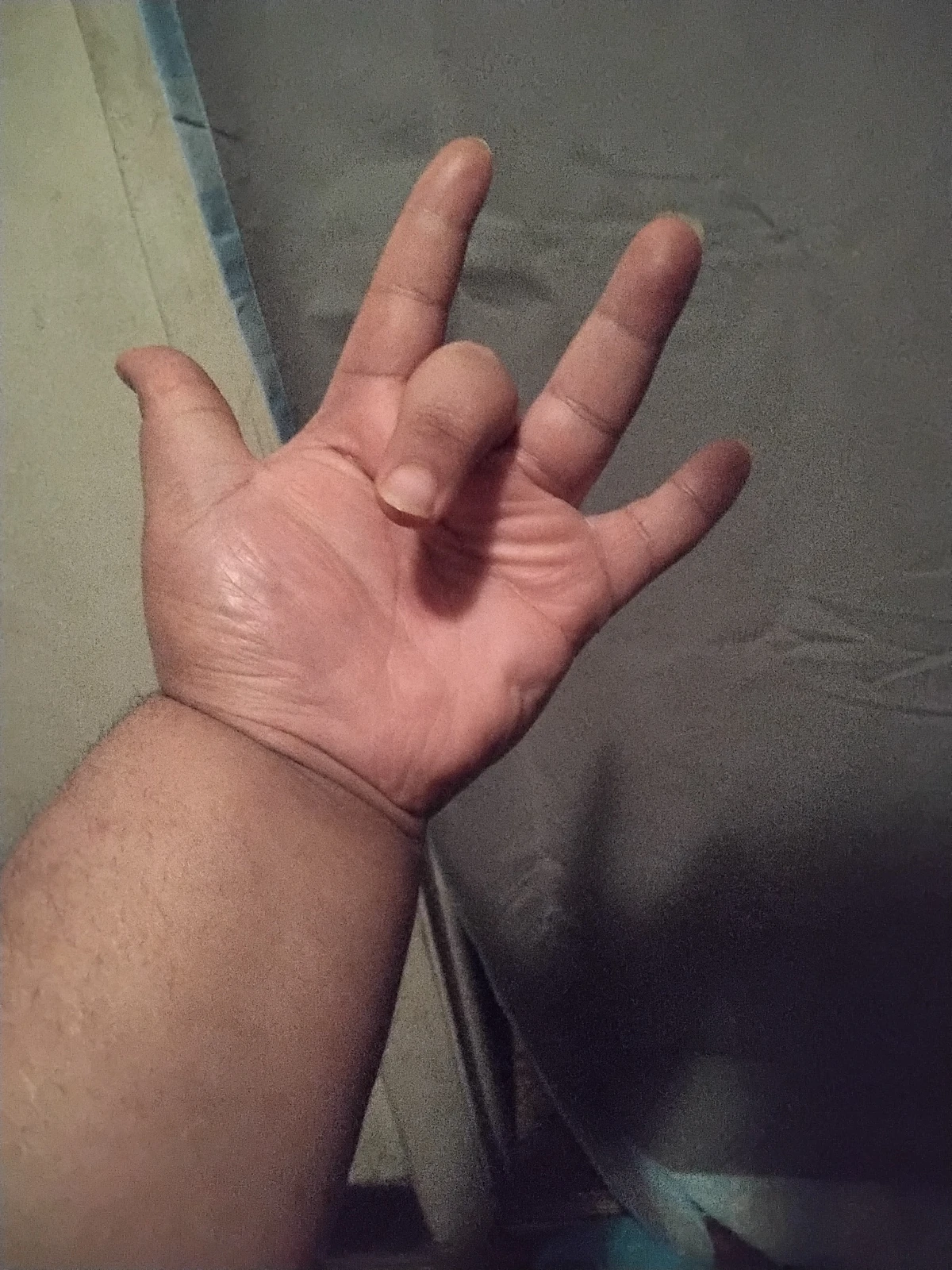 Finger | Chronicles of Narnia Fanon Wiki | Fandom