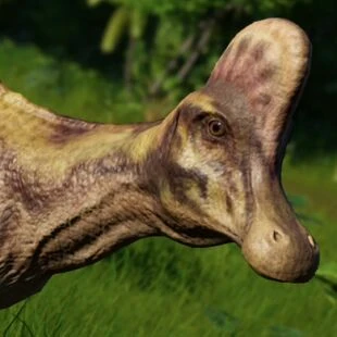 Corythosaurus | Chronicles of Narnia Fanon Wiki | Fandom