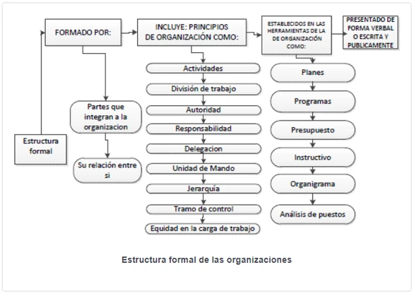 Políticas y estructuras organizacionales | Wiki Confin | Fandom
